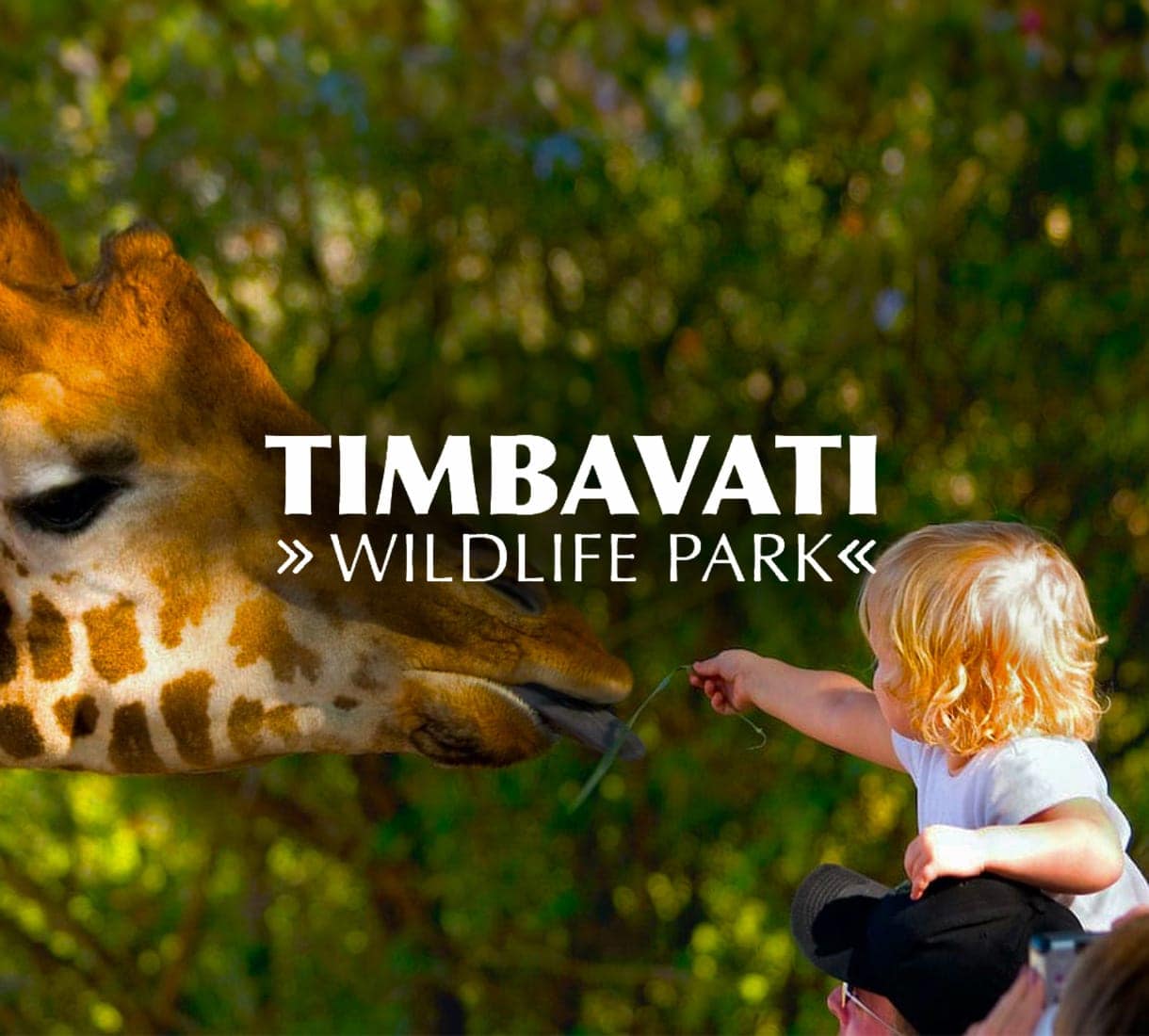 Deals & Specials - Aloha Beach Resort Wisconsin Dells